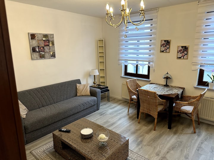 Vollausgestatte 2 Zimmer Wohnung In Wiesbaden - ヴィースバーデン
