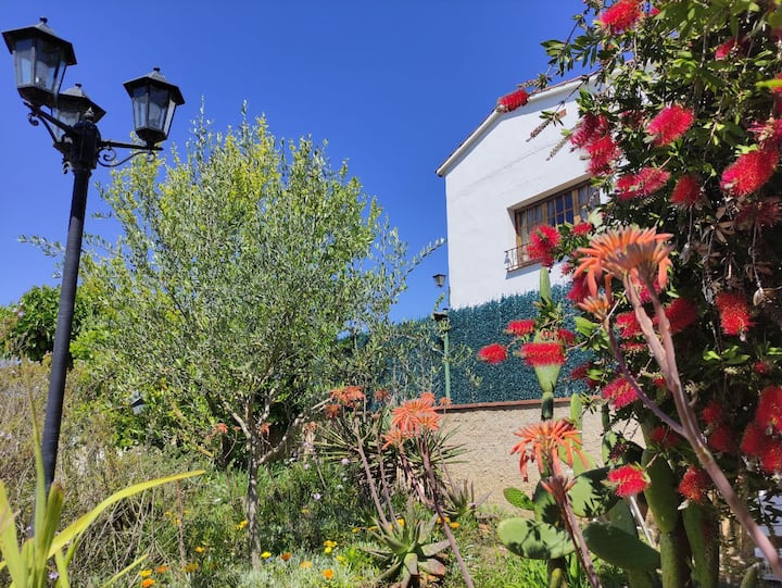 Acogedora Casa Con Jardín - Santa Cristina de Aro