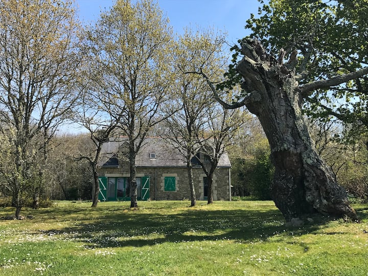 Votre Maison Au Vert, Près De La Grande Bleue - Saint-André-des-Eaux
