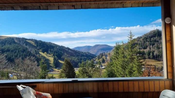 Appartement Laveissière, Pied Des Pistes Lioran - 뮤하