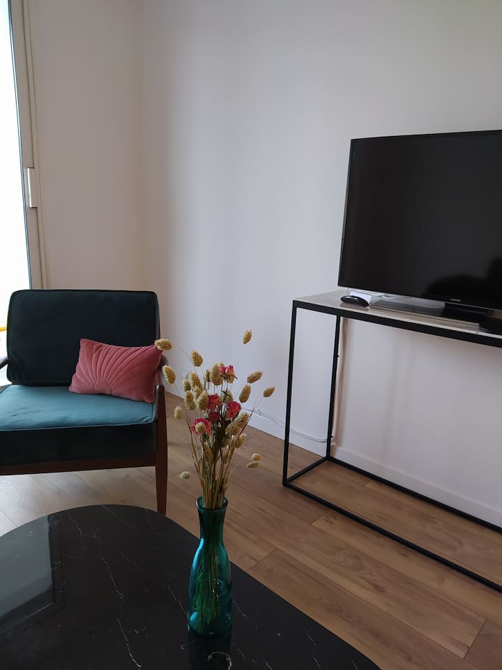 Spacieux | Vue Sur Montagnes | Parking Possible - Annecy
