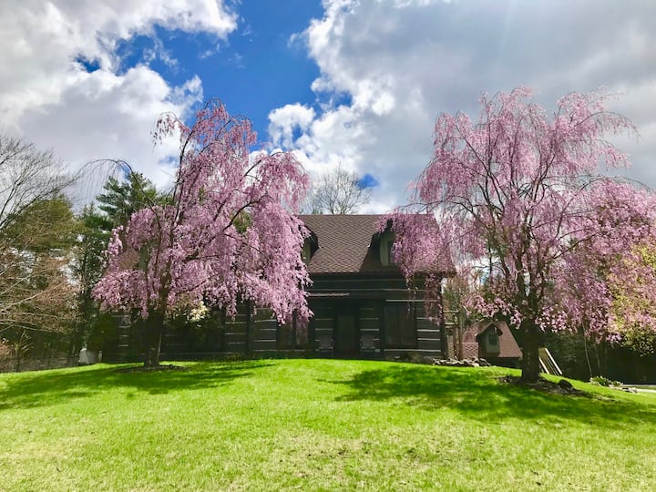 Contemporary Dovetail Log Cabin With Pool - Woodstock, NY