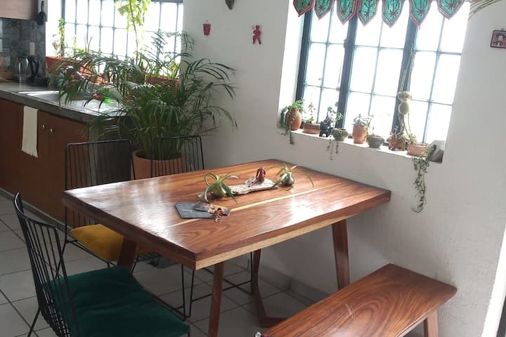 Habitación En Casita Jungla En El Corazón De Gdl. - Guadalajara
