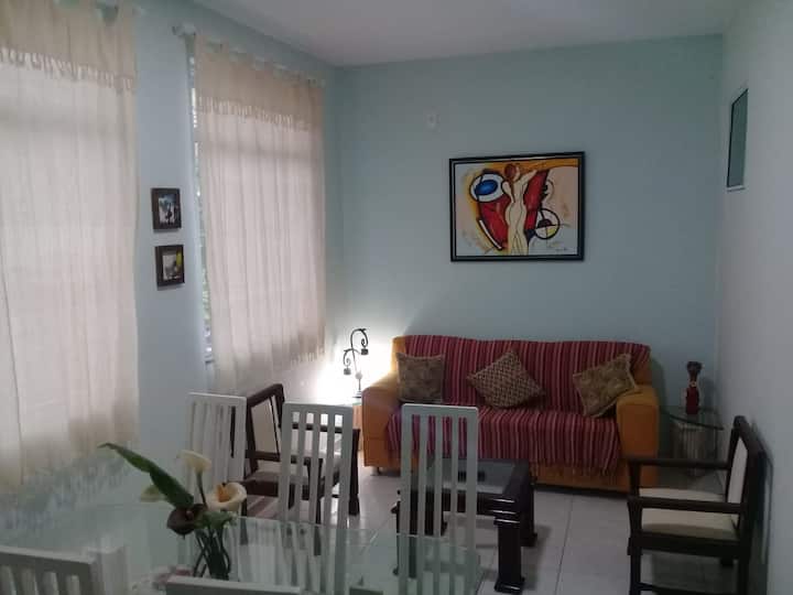 Apartamento No Centro De Passa Quatro - Passa Quatro