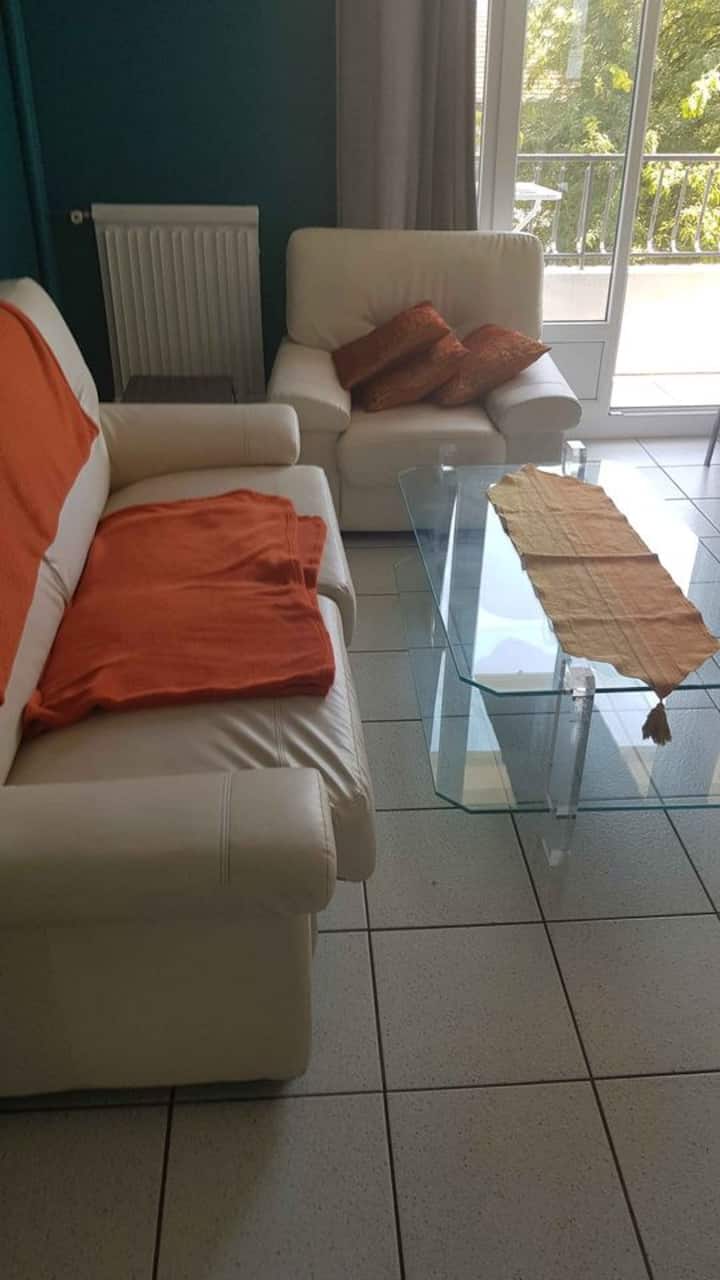 Appartement Avec Chambre Privée Pour 1 Personne - Grenoble