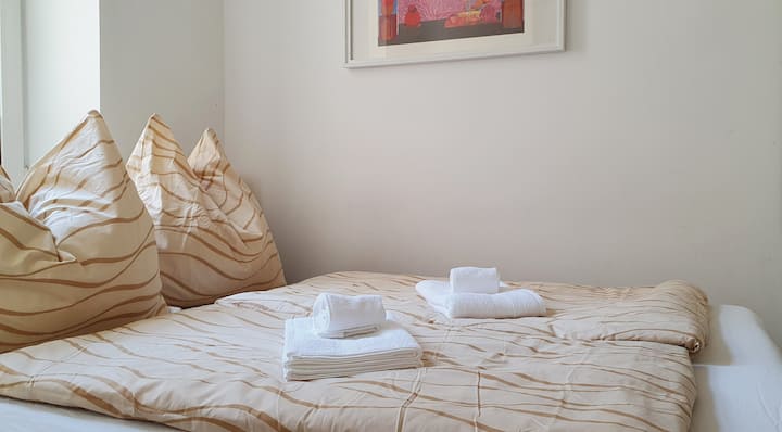 Ruhige 2-zimmer Wohnung In Zentrumsnähe - Wien