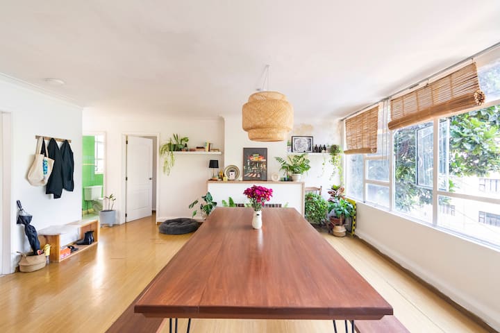 Beautiful Ap With A Sommelier And Pedro The Dog - Mexico