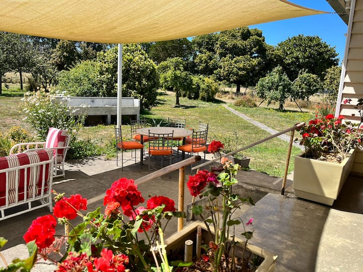 Casa De Campo Acogedora En Frutillar (4-6 Pax) - Puerto Octay