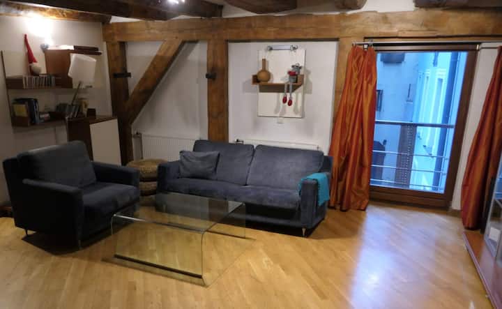 Vintage Barn One-bedroom Flat - Riga