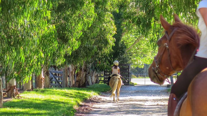 Redlands Farm - Close To Arrowtown - Arrowtown