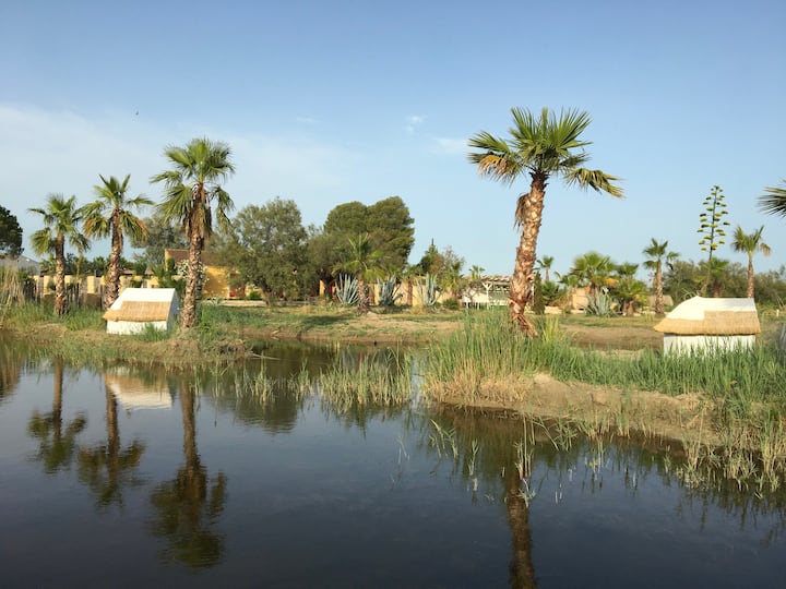 Mas De L Isle Sauvage Aigues Mortes - Camargue