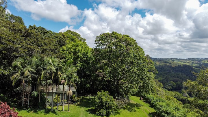 Ocean Drift @ Sundance Montville - Nambour