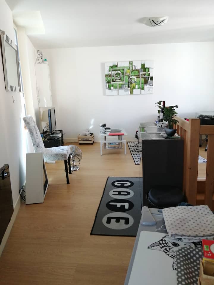 Au Bord De La Charente, T2 Triplex 52m2 - Angoulême