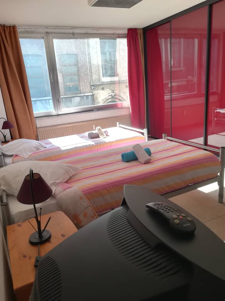 Charleroi Studio 2 Personnes Centre Ville - Charleroi