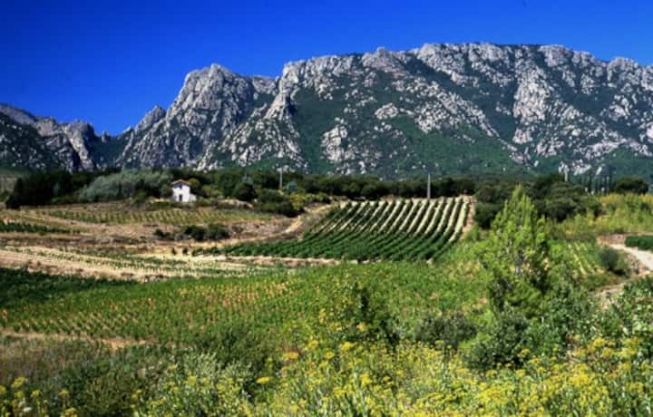 ''La Maison Verte'' 6 Pers Parc Haut Languedoc - Saint-Pons-de-Thomières