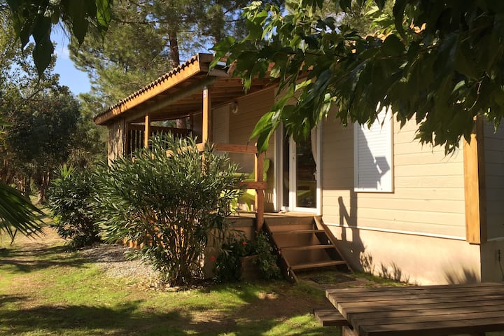 Chalet 2 Climatisé à Sainte Lucie De Porto-vecchio - Plage de Pinarellu