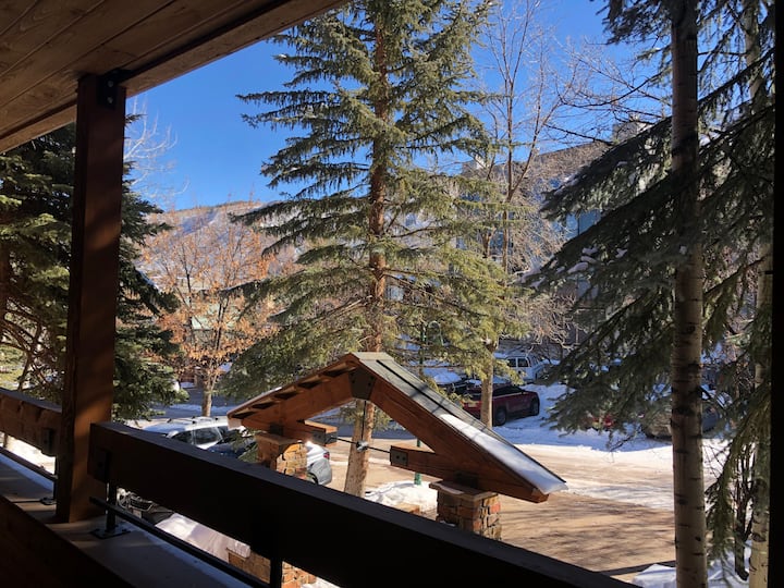 Luxurious Mountainside Apt Downtown Aspen - Aspen, CO