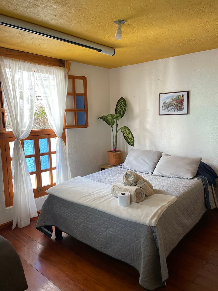 Departamento-céntrico / A 250 M Del Jardín Unión - Guanajuato