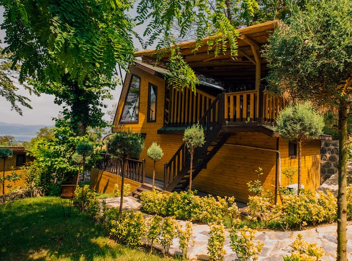 Casamia Suit Teleskop Ağaç Evi - Sapanca