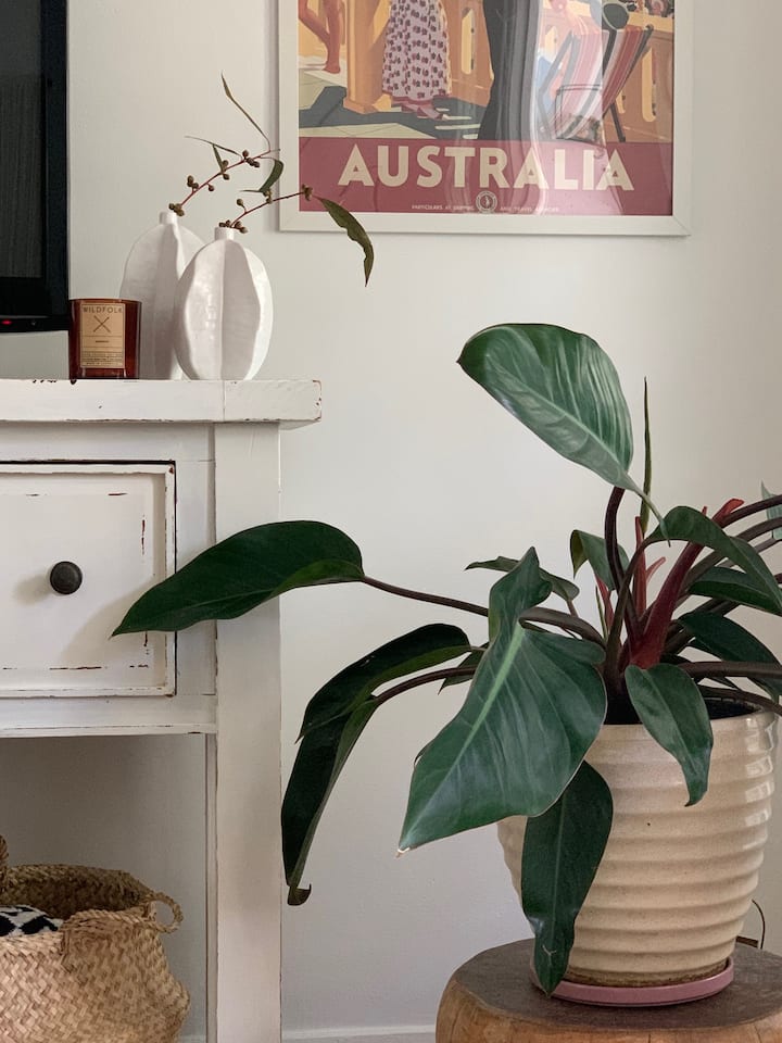 Serene Bondi Apartment Close To The Beach/ Wi-fi - Bondi Beach