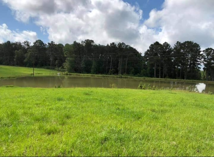 Top 10 Ranches To Stay In Mississippi, USA - Updated 2024 | Trip101