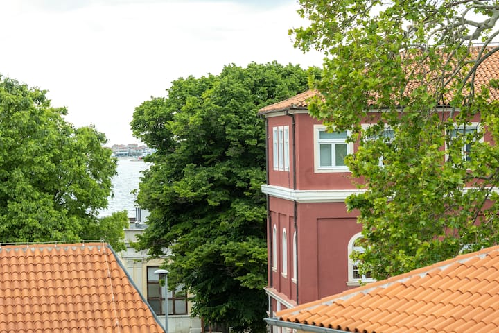 Apartment Orgulje In Old Town - Zadar