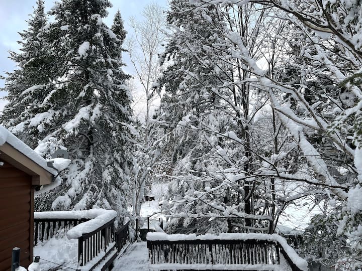 Bord De L’eau | Kayaks + Foyer Extérieur - Gatineau