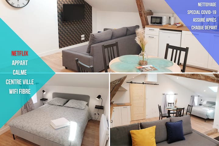 🌟 🌟 🌟 Appart Cosy Confort Centre Ville 🌟 🌟 🌟 - Angoulême