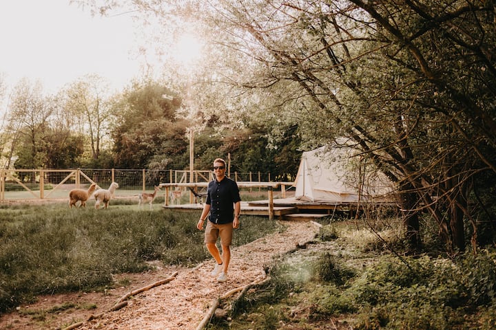 Ark Glamping Aap: Luxueus Genieten In De Natuur - Kasterlee