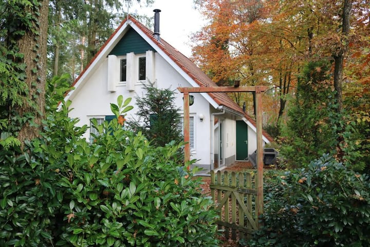 'Huisje Haere' Op De Veluwe - Netherlands