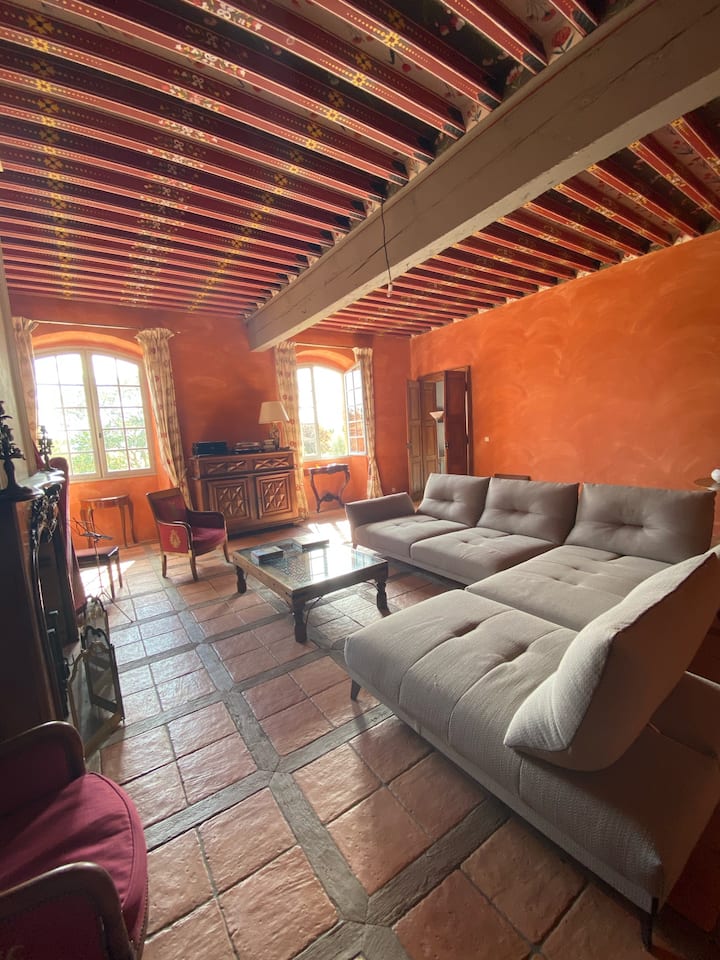 Suite Pic Du Canigou - Manoir Du Bouyssou - Auterive