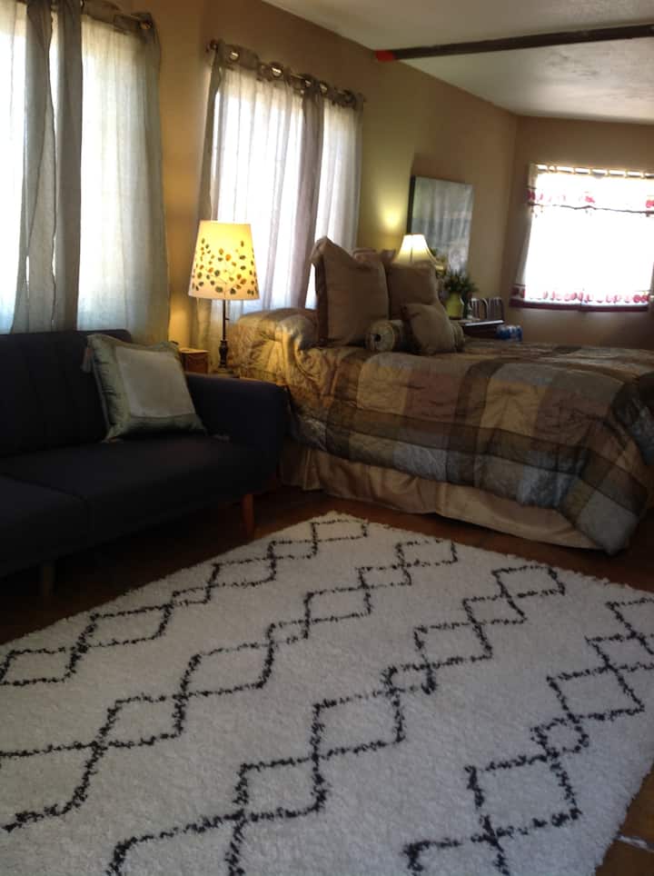 Huge Beautiful Entire Guest Suite Great Location - Las Vegas, NV