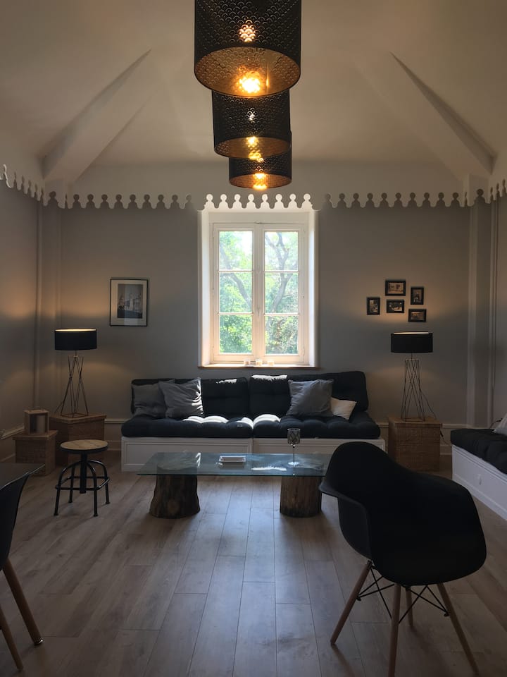 Grand Appart 150m2 Dans Belle Maison Bourgeoise - Givors