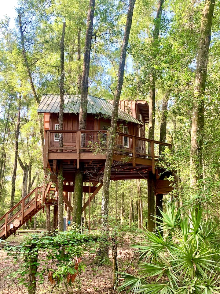 17 Best Treehouse Hotels And Vacation Rentals In Florida, USA - Updated ...