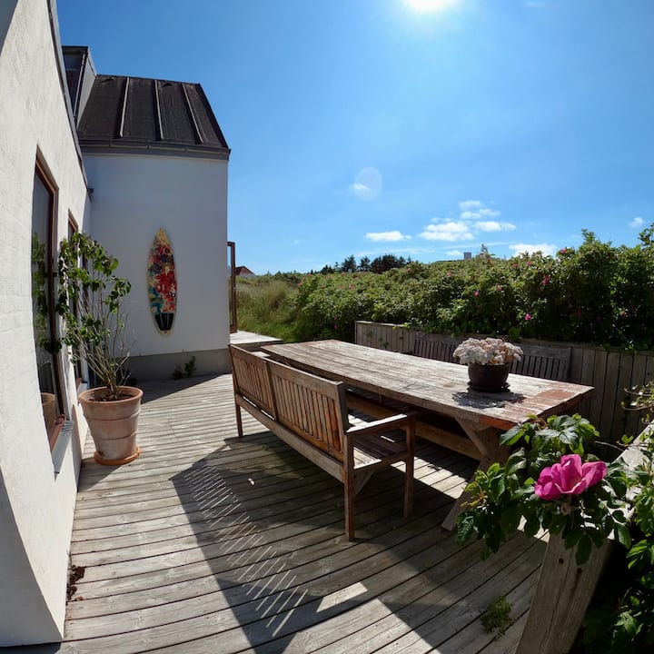 A Hidden Gem In Cold Hawaii - Thisted