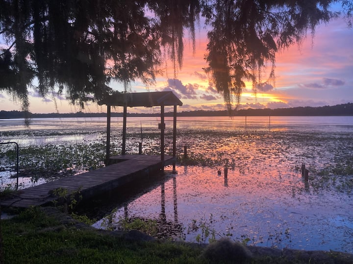 Tranquil Waterfront Cottage On Lake Rousseau 3bdrm - Lake Rousseau, FL