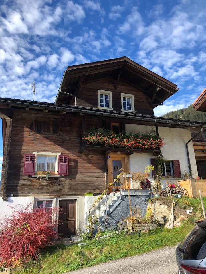 Gemütliches Ambiente In Den Bündner Bergen - Disentis/Mustér