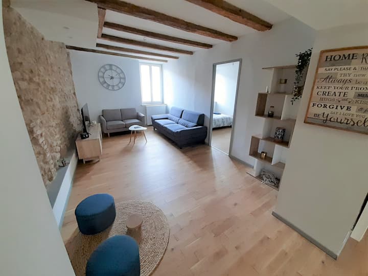Duplex à Deux Pas De La Place Stanislas - Nancy
