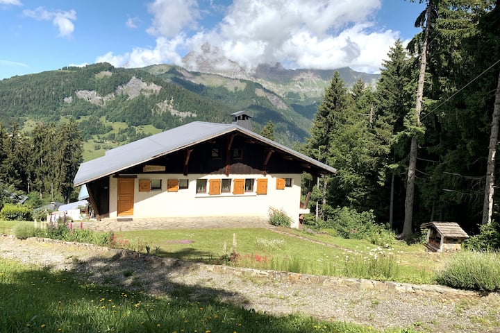 Chalet Le Remarquable, Crest Voland - Crest-Voland