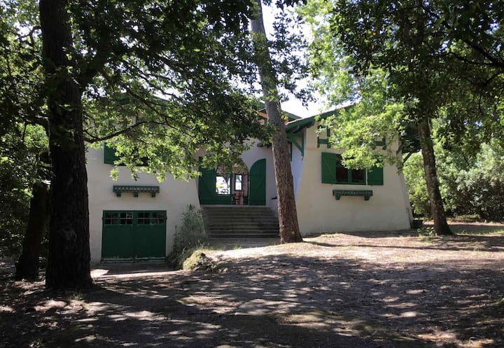 Belle Villa Gaume Vue Imprenable Sur Forêt - La Teste-de-Buch