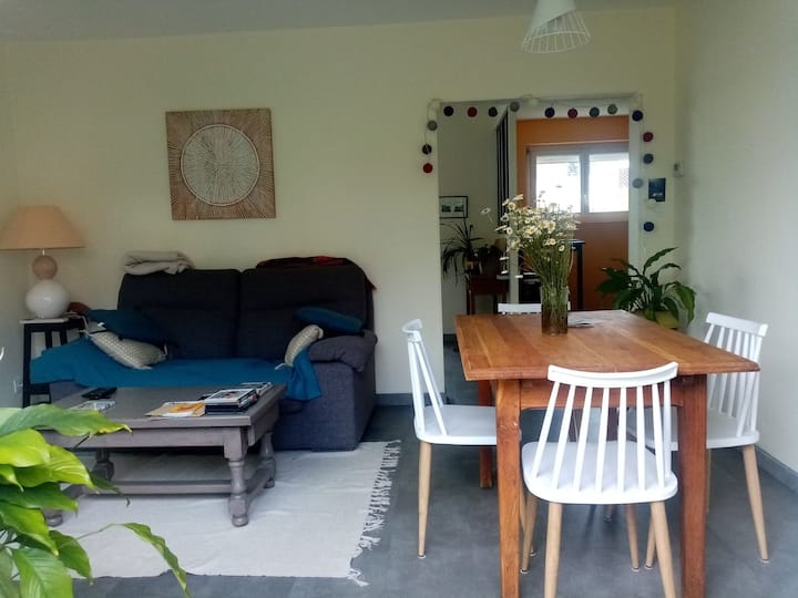 Maison Avec Jardin - Centre-ville Albi - Albi