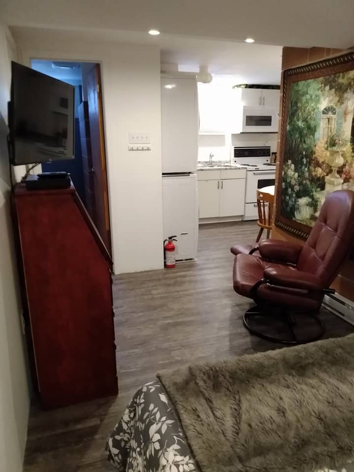 Sp Cozy Studio In Quiet Area - Ottawa