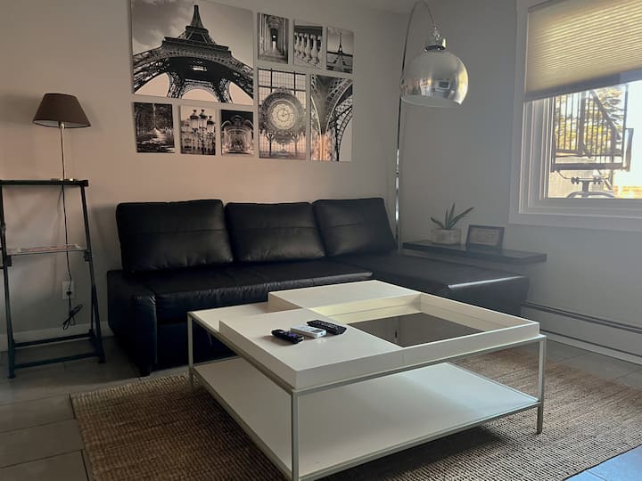 Modern & Cozy Contemporary Condo Suite (#1) - Calgary