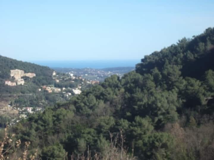 Location 2/4 Personnes Arrière Pays Côte D’azur - Jardin de la Villa Noailles