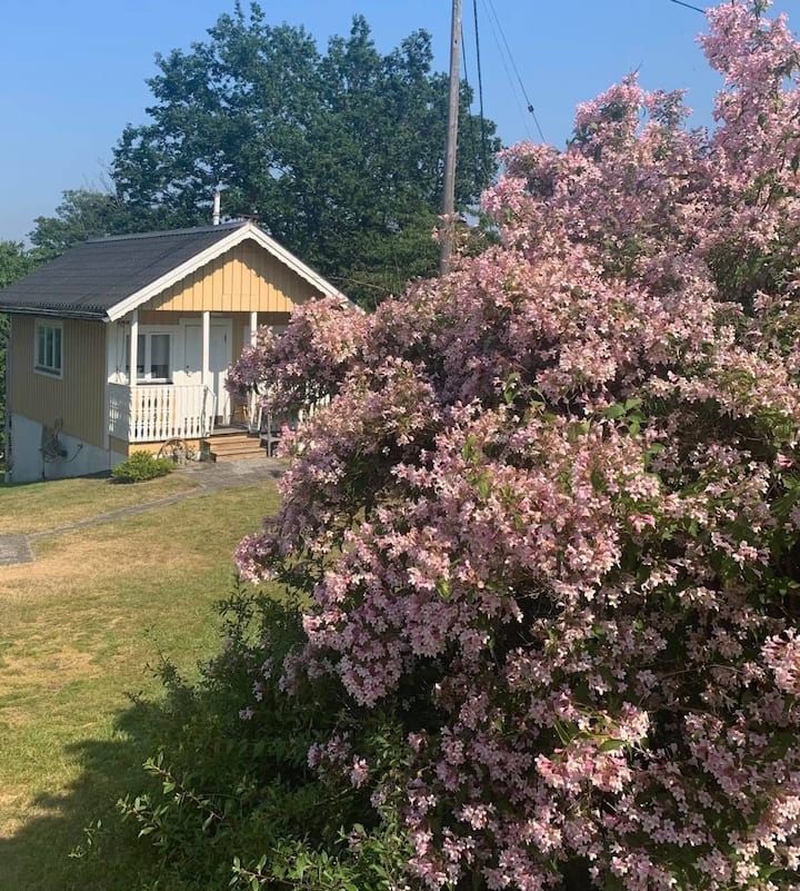 Mitt I Karlskronas Vackra Skärgård - Karlskrona