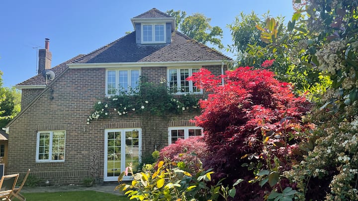 Luxury New Forest Retreat*hot-tub*sauna*cinema* - Lyndhurst, UK