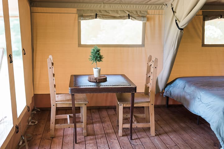 7 Best Yurts Near Pigeon Forge, Tennessee - Updated 2025 | Trip101