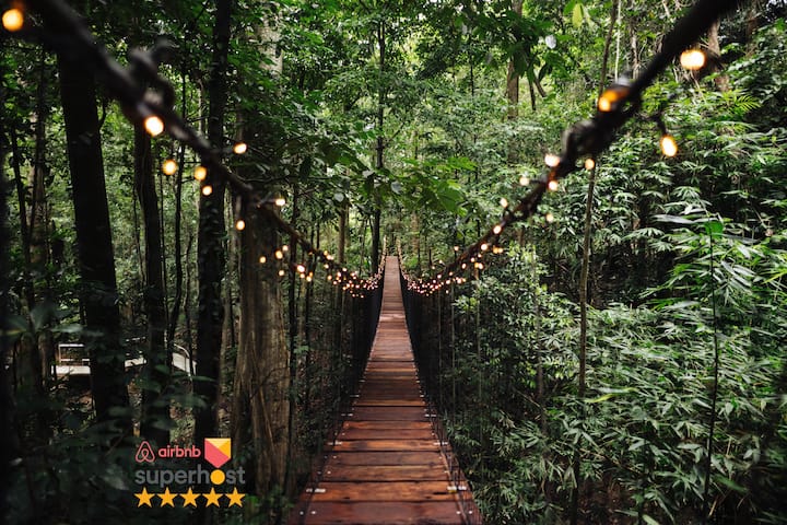The Hidden Haven Of Oz-a Coastal Rainforest Escape - Cairns