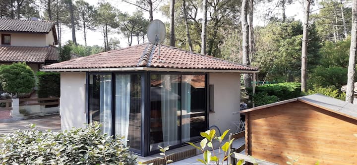 Petite Maison En Bord De Mer Sous La Pinède - Moliets-et-Maa