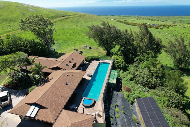 Exquisite Oceanview Estate 75 Foot Pool /Sauna/spa - Hawi, HI